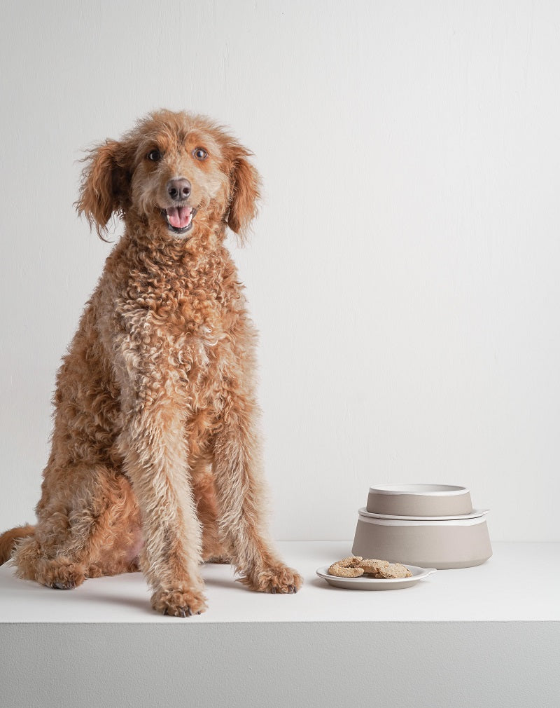 Robert Gordon Furry Friends Pet Bowls -When only the best will do ...